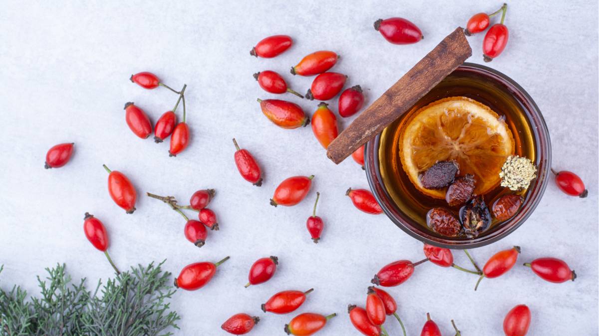 Bagas de goji: a frutinha vermelha que ganhou espaço na alimentação ...