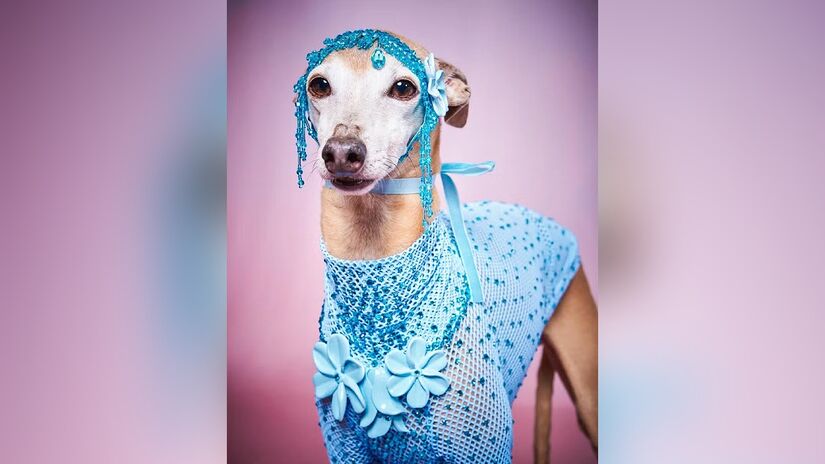 Anitta aposta no signo de Câncer em novo look de turnê pré-Carnaval ...