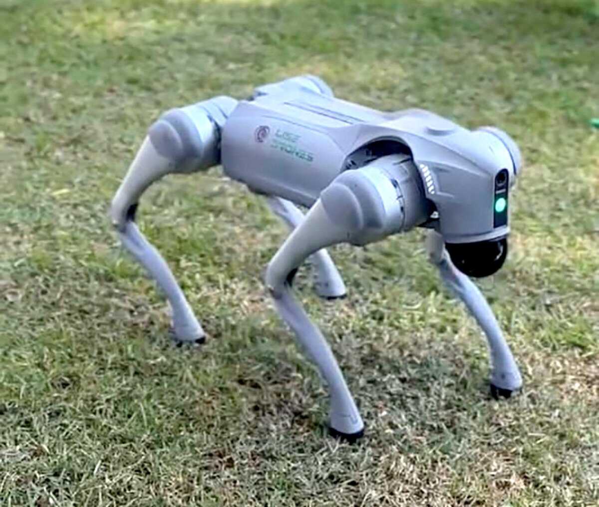 VÍDEO: Cão robô inteligente irá ajudar a polícia em Sorocaba - Gazeta ...