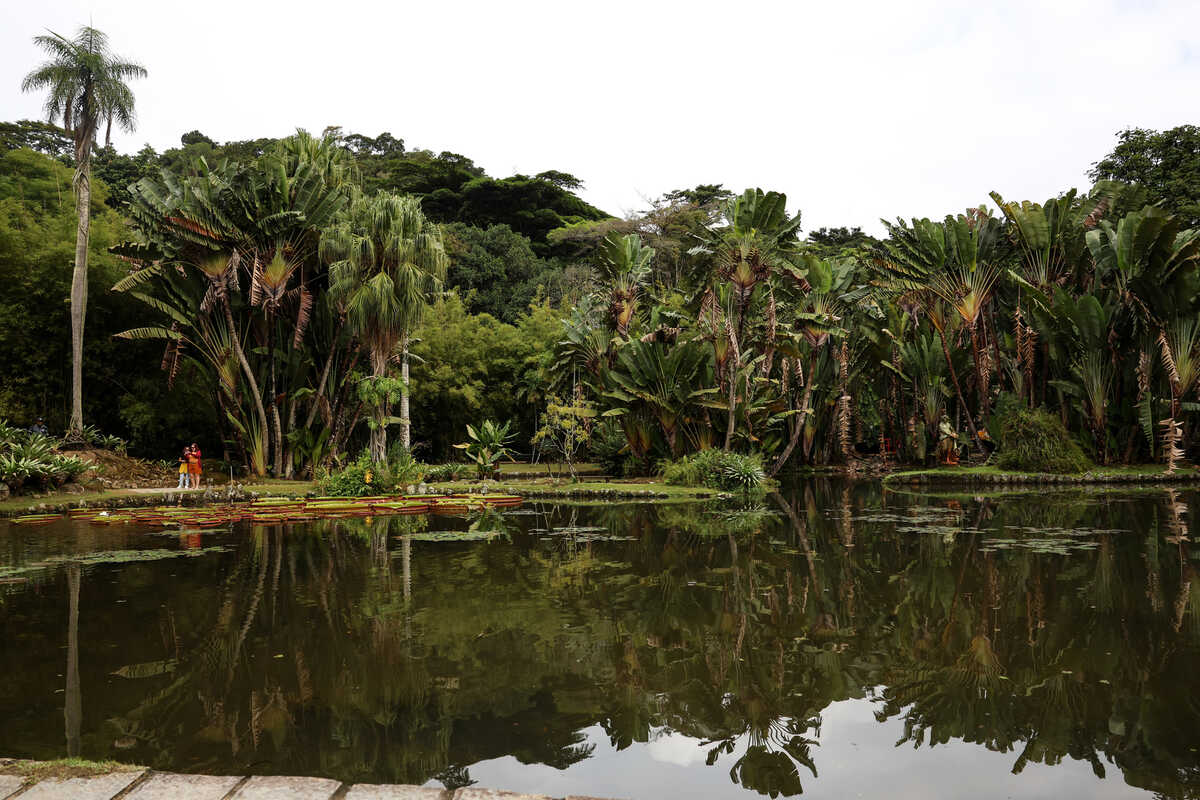 Ecologia Pop - Gazeta de São Paulo