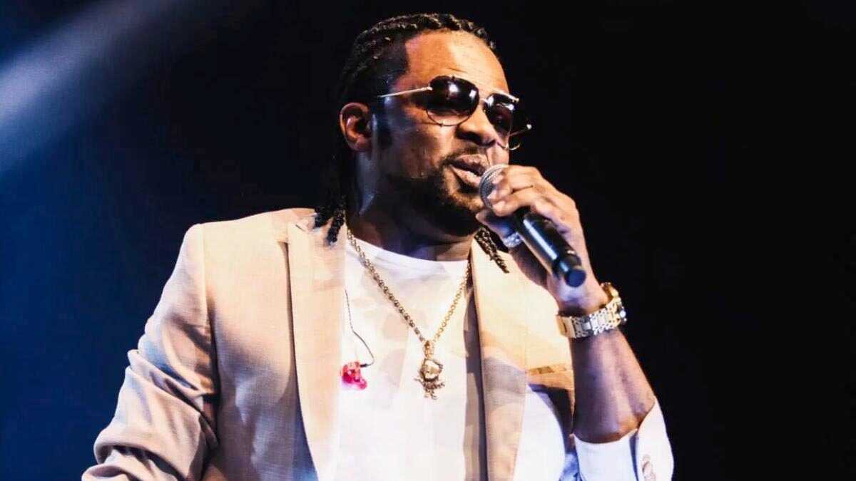 Xande de Pilares e Pixote se apresentam de graça no ABC Paulista ...