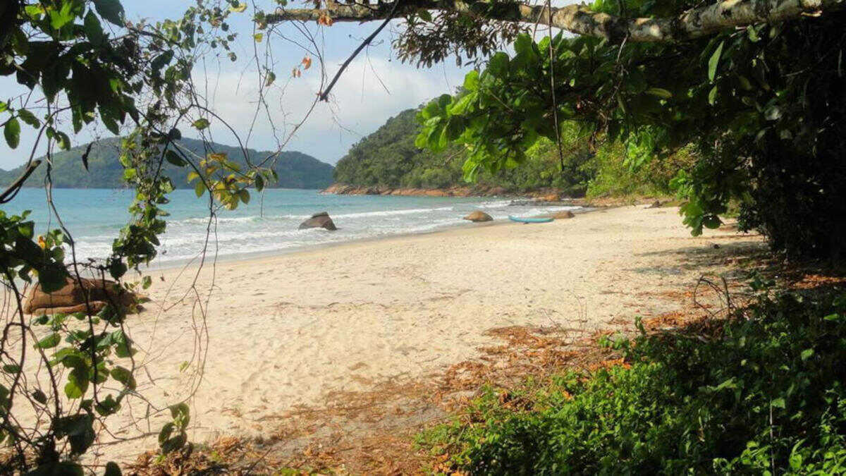 Praia 'secreta' no Litoral de SP surpreende pela beleza exótica ...