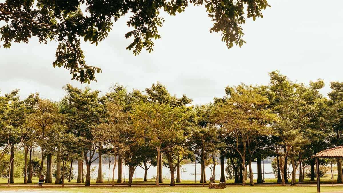 Parque Praia do Sol: o parque com acesso à praia de água doce em São ...