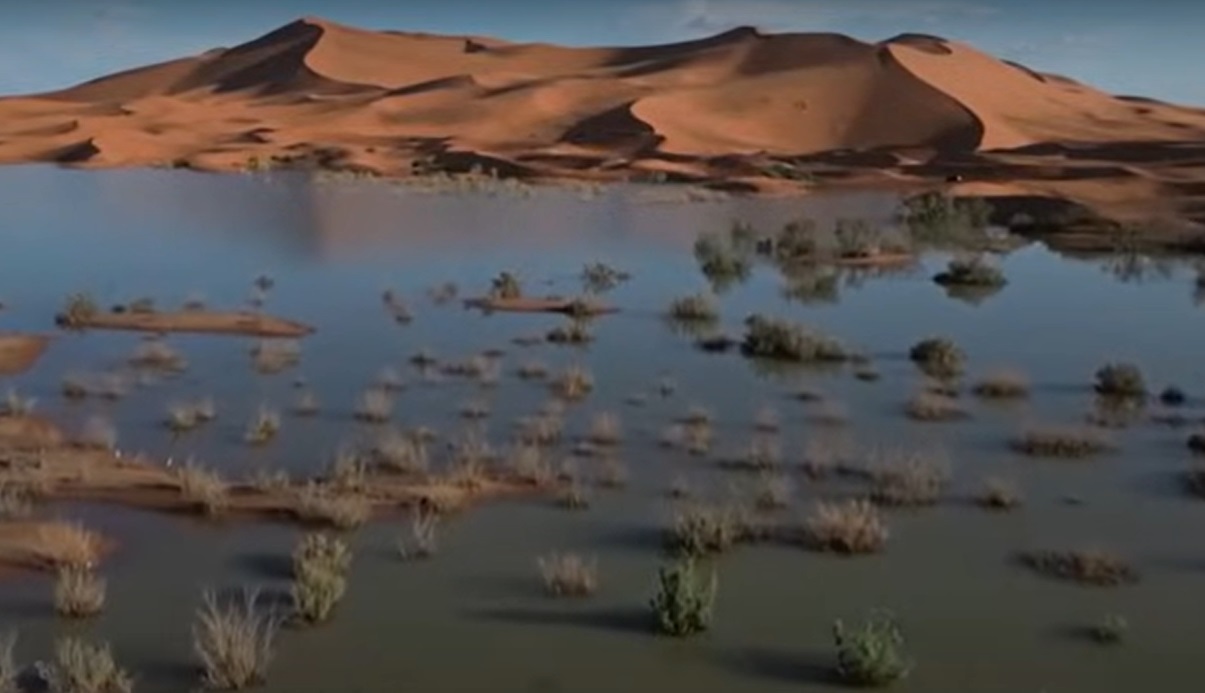 Chuvas recentes alteram cenário do Saara e assustam cientistas - Gazeta ...