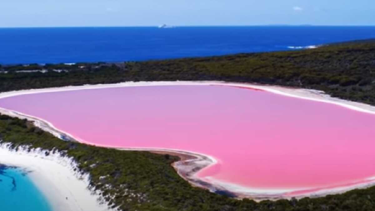 Do rosa na Austrália ao azul da Indonésia: conheça 9 lagos ...