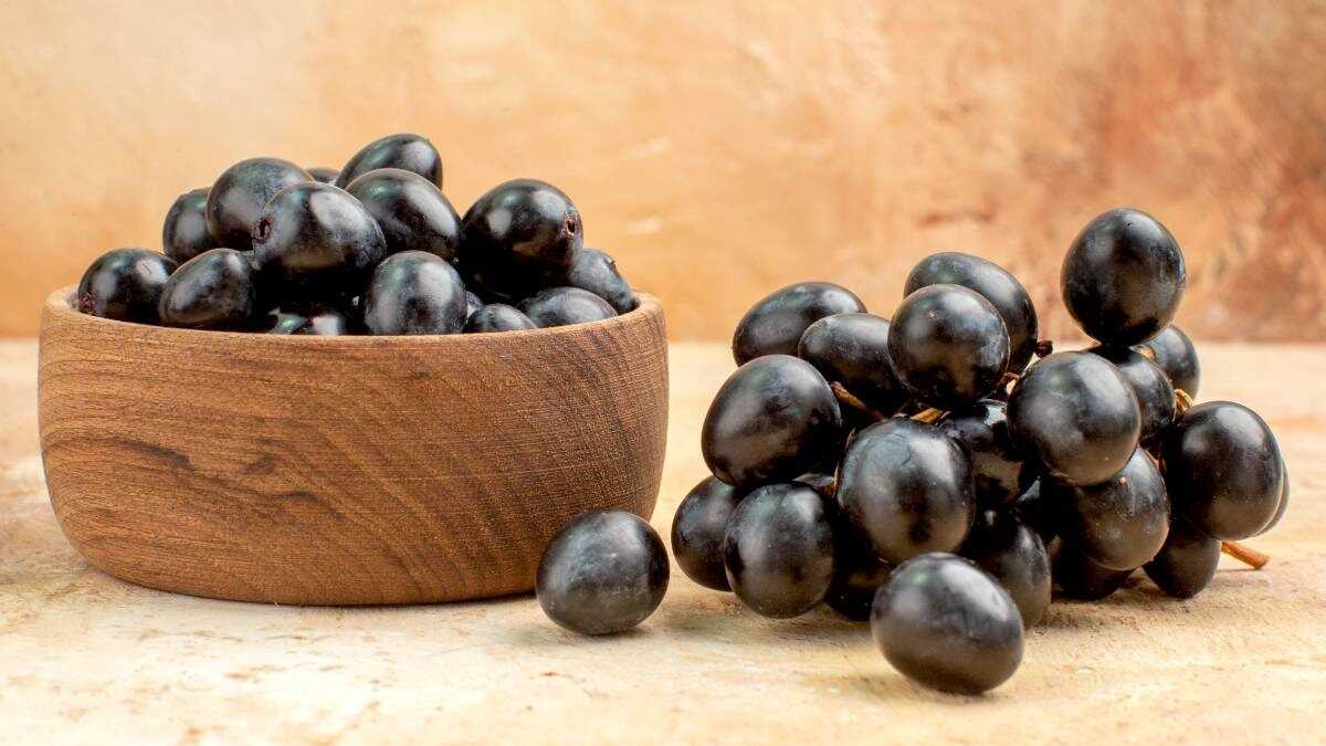 Uma das melhores frutas do mundo está no Brasil; saiba qual - Gazeta de ...