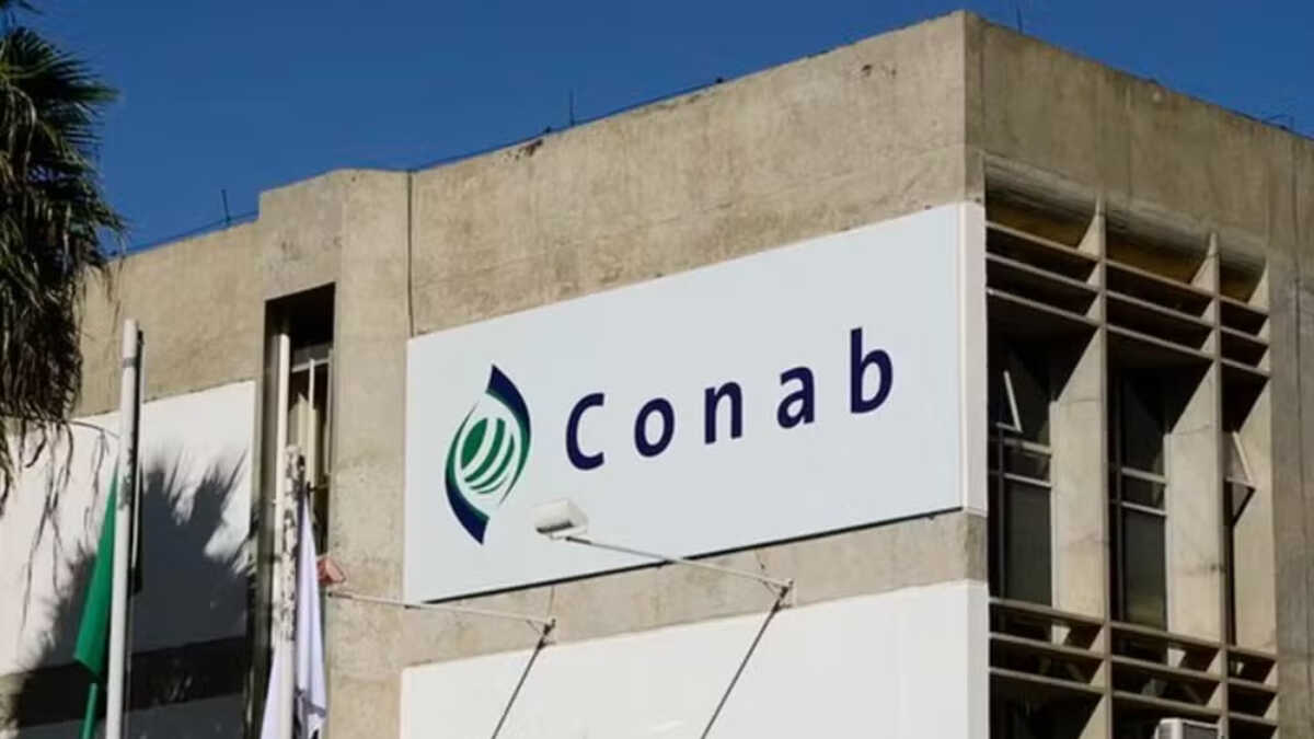 Conab vai abrir concurso com salários de até R$ 8 mil - Gazeta de São Paulo