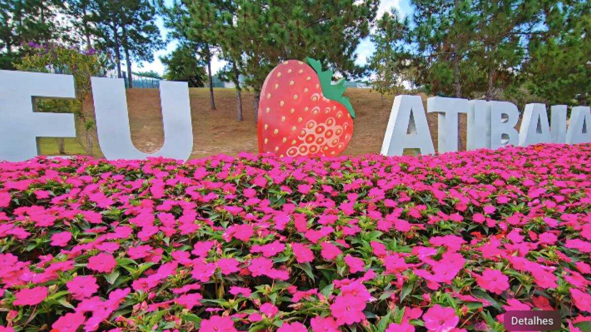 Conheça a capital nacional do morango, que produz 3 mil toneladas ao ...