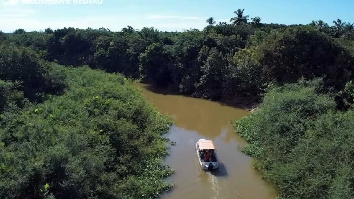 Maior delta fluvial das Américas está no Brasil e você pode visitá-la ...