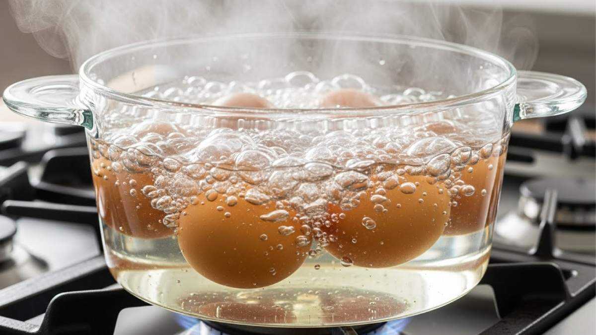 Não se recomenda mais cozinhar ovos na água: veja o melhor método ...