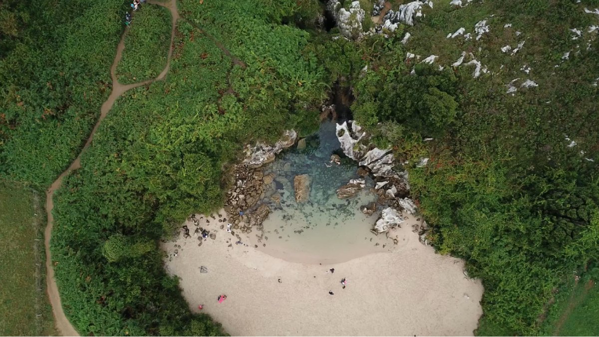 Menor praia do mundo fica no meio da floresta e tem água salgada, mesmo ...